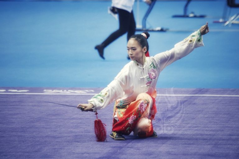 ロシア?? – 武術太極拳 | KONG XiangDong（孔祥東）公式WEBサイト